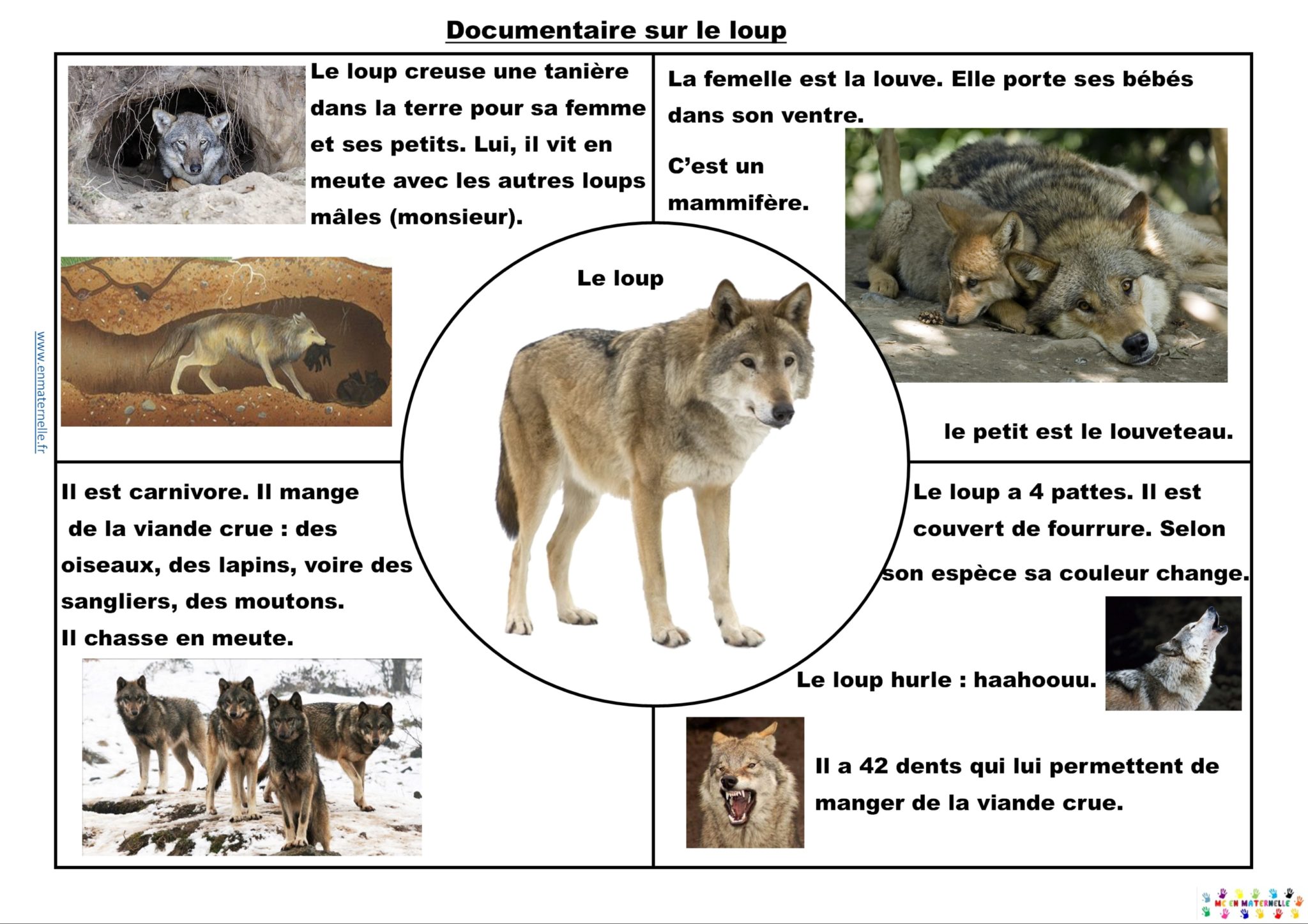 Les loups – MC en maternelle