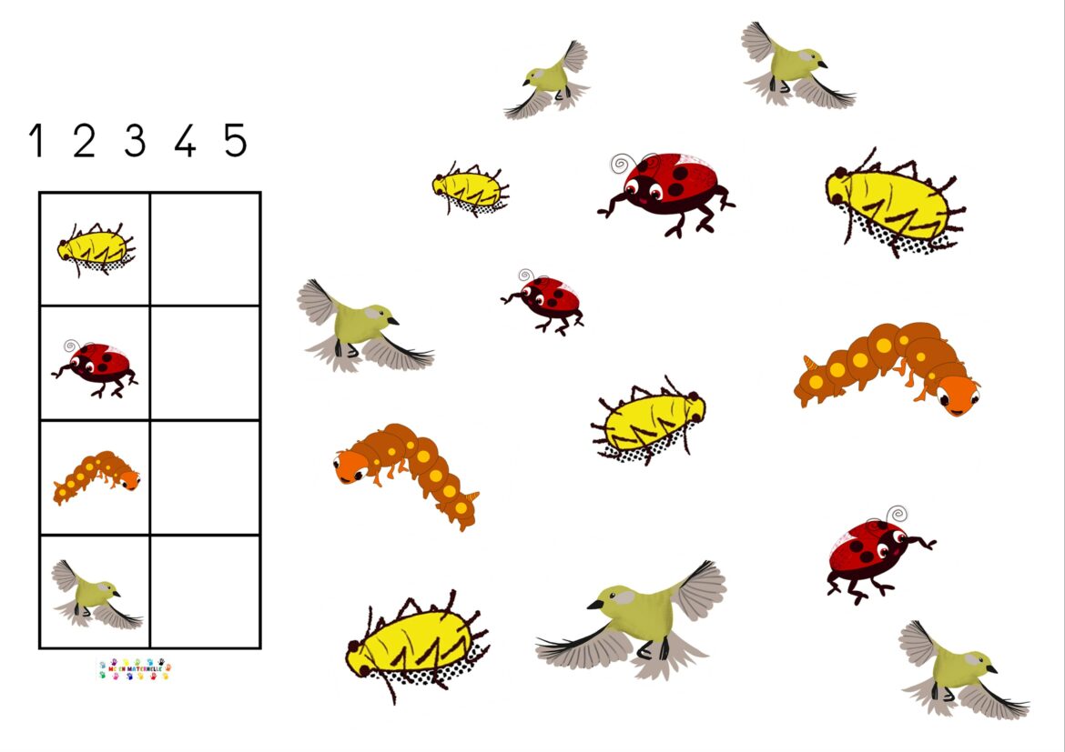 MC en maternelle – Exploitation pour l'école maternelle
