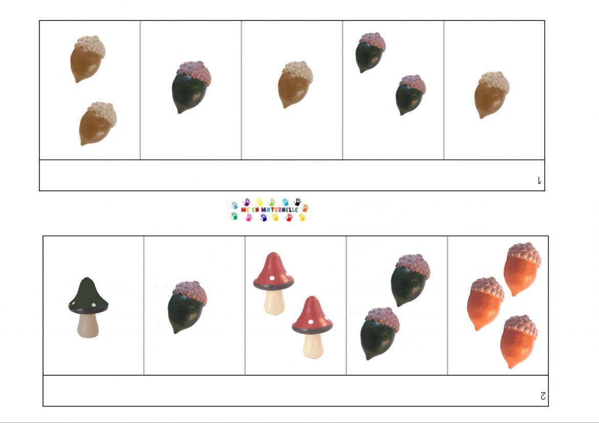 Boite à compter sur l’automne : compter le nombre d’objets d’automne ...