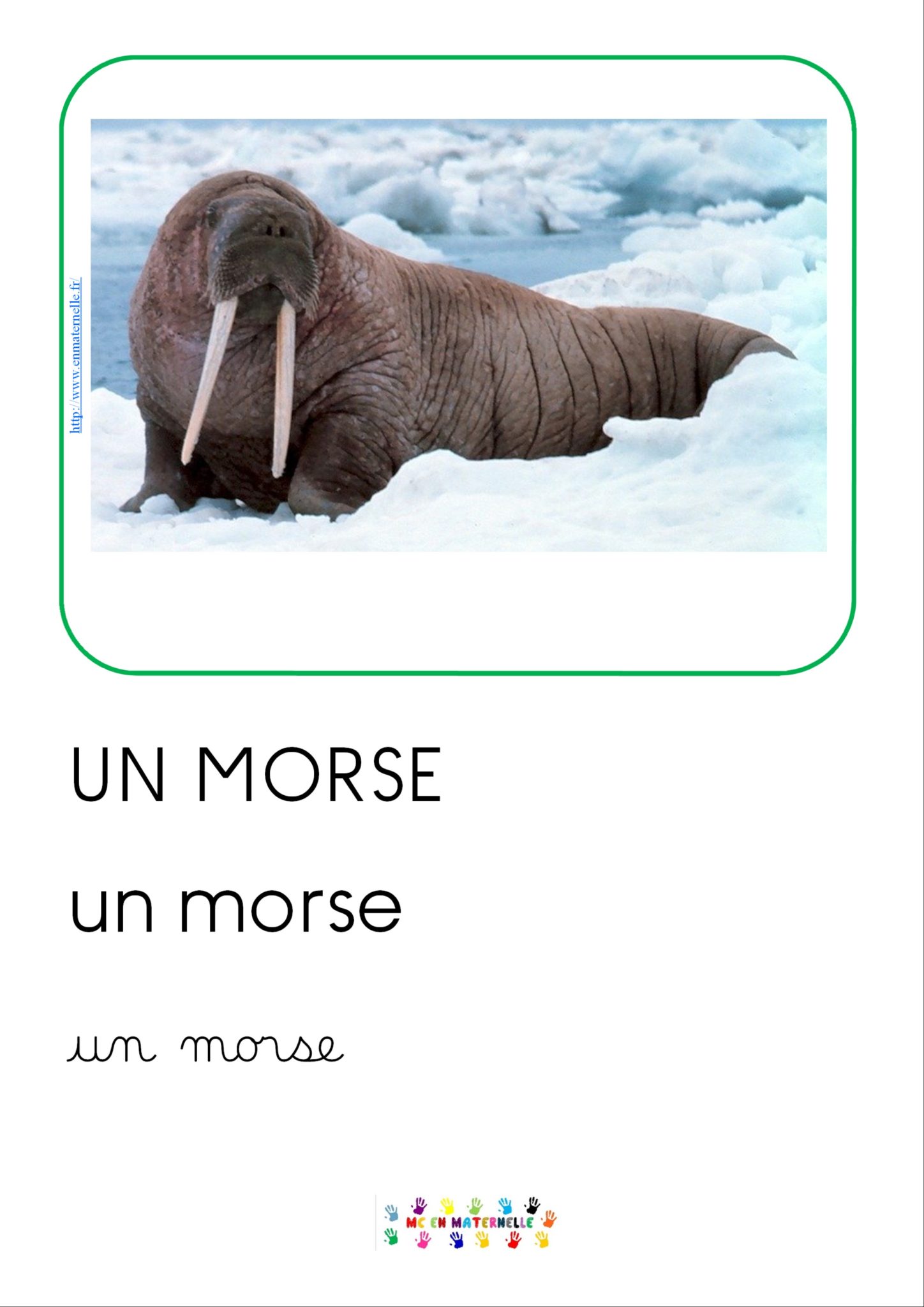 Imagiers pour petits, moyens et grands sur les animaux – MC en maternelle