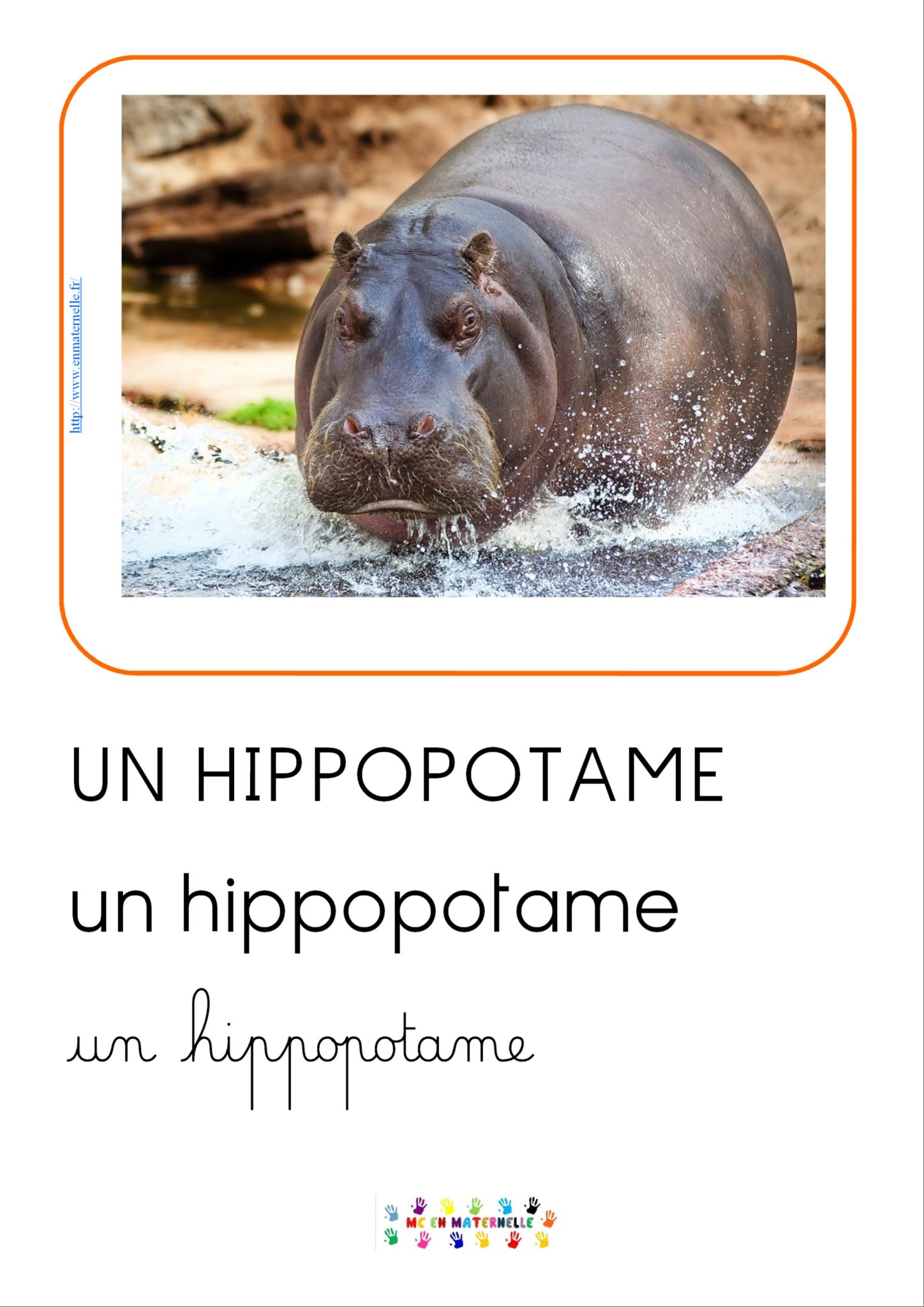 Imagiers pour petits, moyens et grands sur les animaux – MC en maternelle