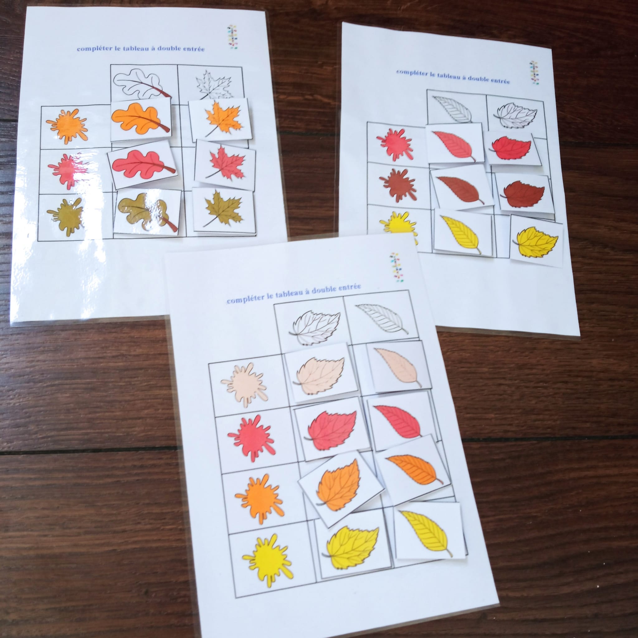 Automne : Tableaux à double entrée – MC en maternelle
