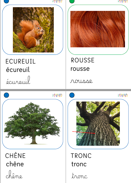 Langage en MS : vocabulaire des histoires – MC en maternelle