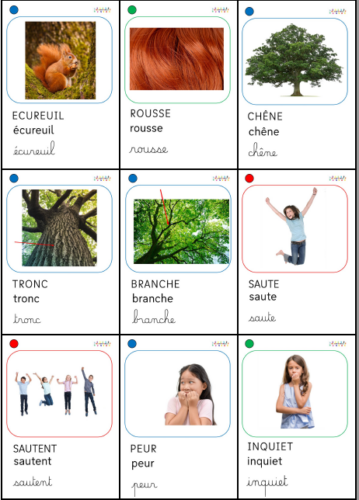 Langage en MS : vocabulaire des histoires – MC en maternelle